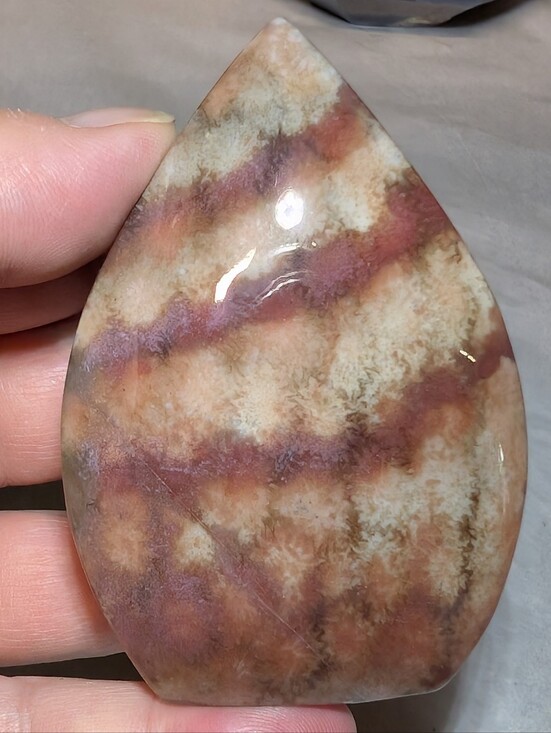 Accents | Agatized Fossil Coral Tear | Poshmark